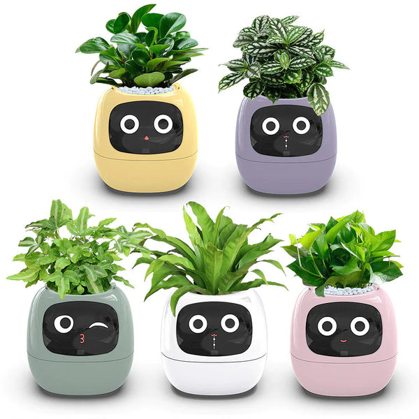 Smart Planter Ivy: AI-Powered Plant Care, Flowerpot Easy and Fun – About Camping