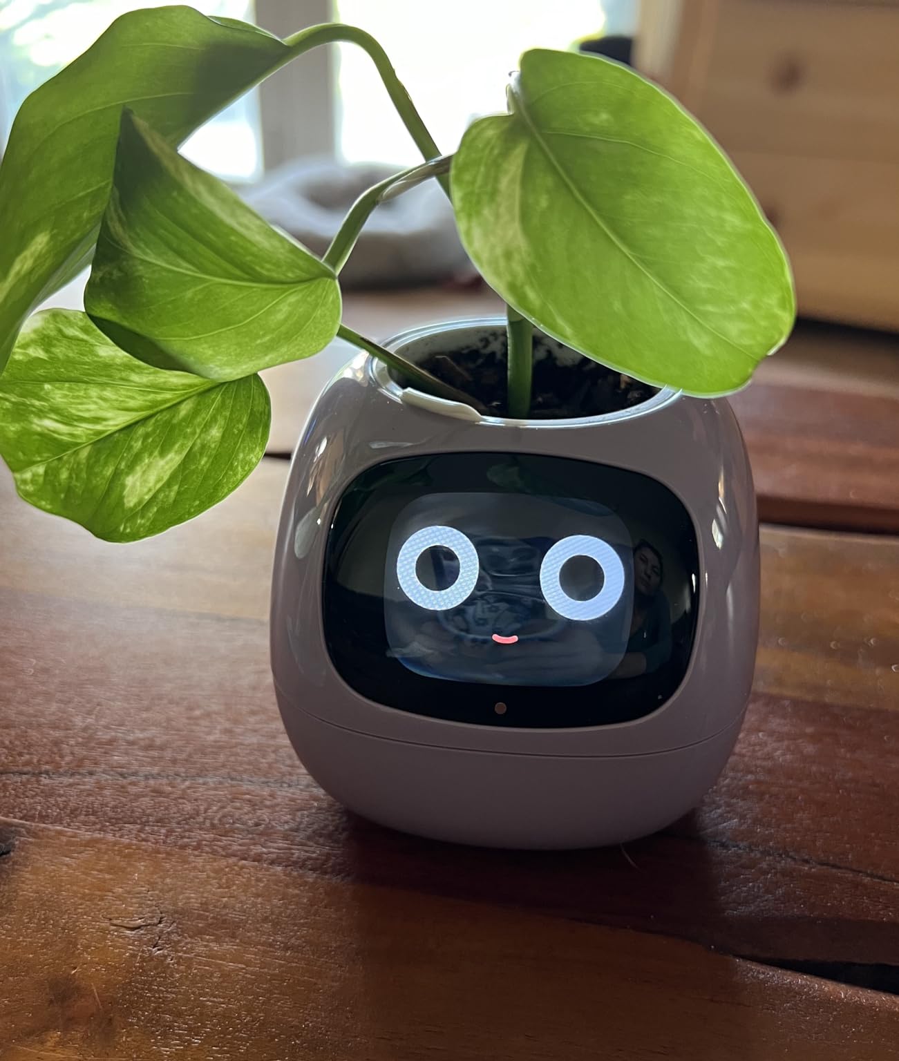 Smart Planter Ivy: AI-Powered Plant Care, Flowerpot Easy and Fun ...